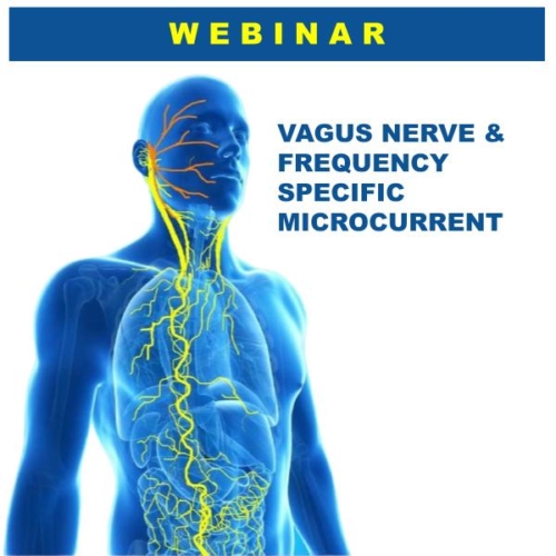 Free Webinar - FSM and the Vagus Nerve - Frequency Specific Microcurrent - Frequency Specific ...