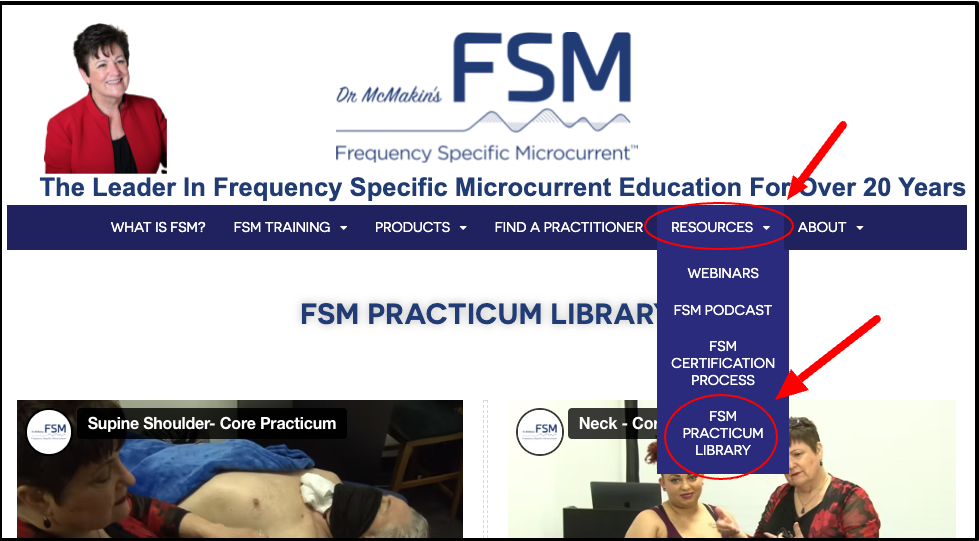 FSM Practicum Library - Frequency Specific Microcurrent - Frequency Specific Microcurrent