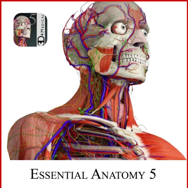 Essential Anatomy - Frequency Specific Microcurrent - Frequency ...