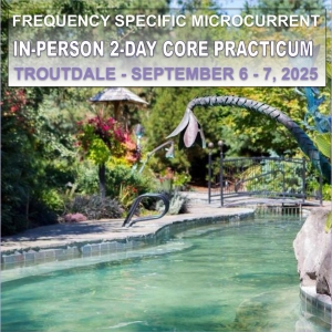 Frequency Specific Microcurrent (FSM) Training and Information for Practitioners and Patients ...